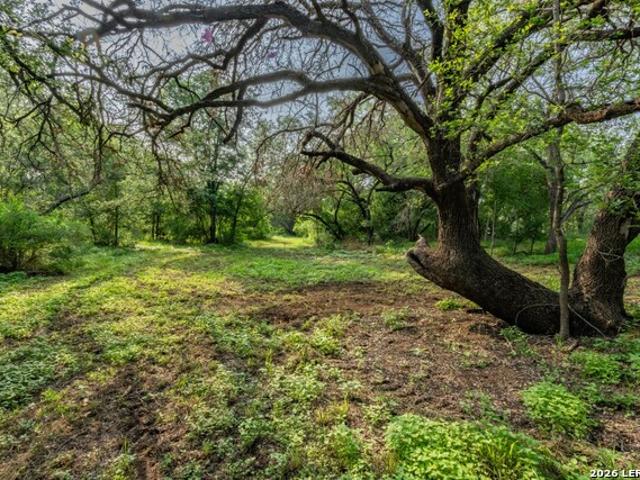 224 County Road 662