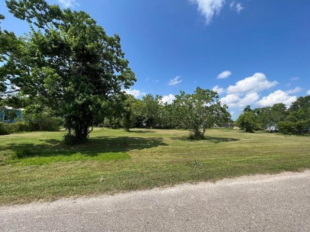 224 Coker St, Jones Creek, TX 77541 | MLS #44974 | Compass