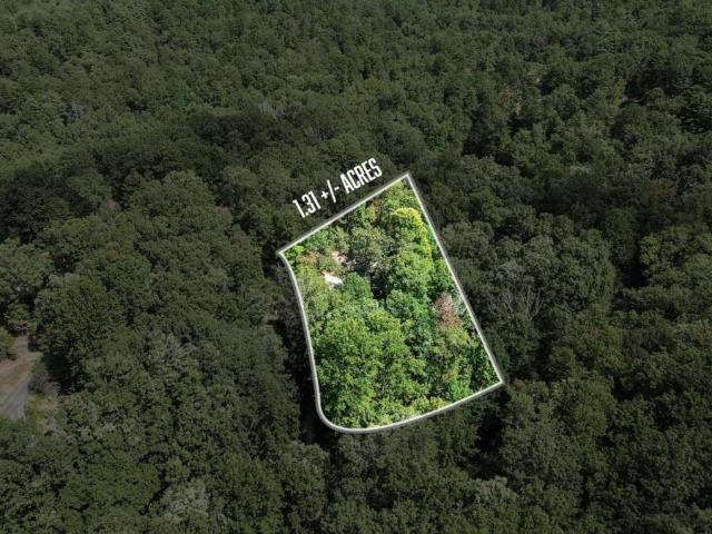 224 Dragon Tree Lane