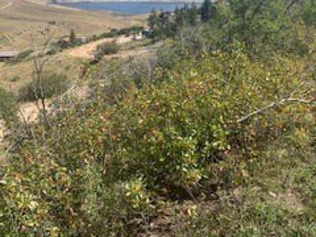 224 E Rockport Aspen Dr Lot 43, Coalville, UT 84017
