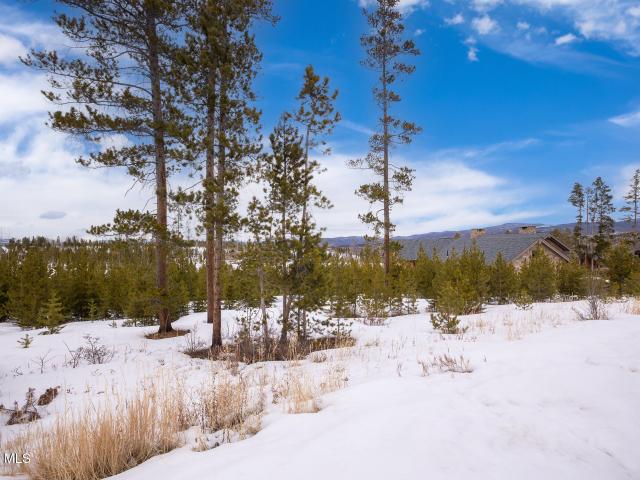 224 Leland Creek Cir, Winter Park, CO 80482 | MLS #26 203 | Compass