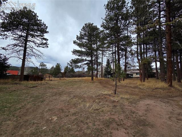 224 S Fairview St, Woodland Park, CO 80863 | MLS #7676