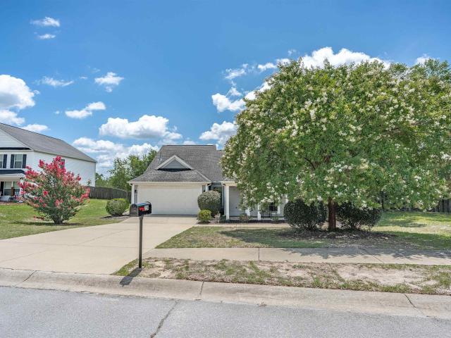 224 Summit Ridge Circle