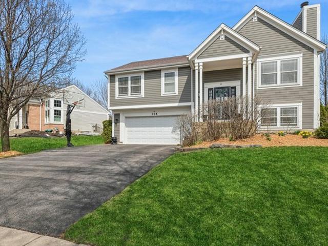 224 Penny Ln, Grayslake, IL 60030