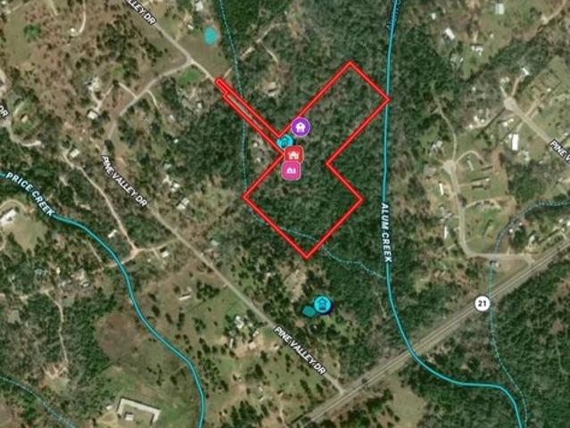 224 Pine Valley Dr, Paige, TX 78659