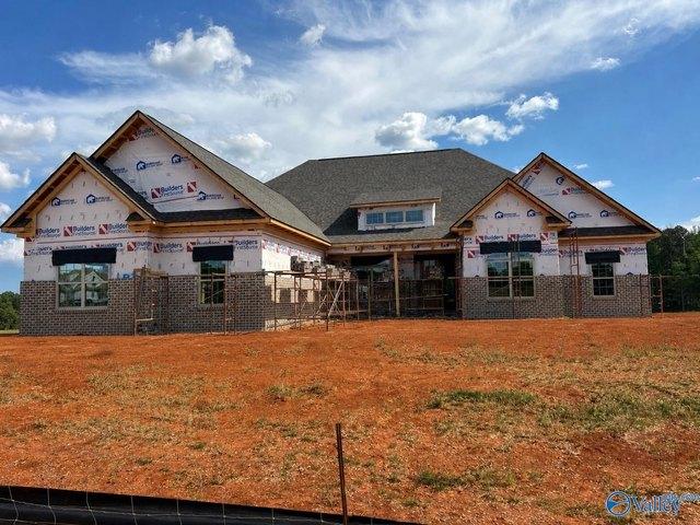 224 Ray Ridge Trl, Toney, AL 35773