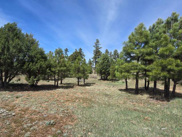 2254 Big Bear Circle