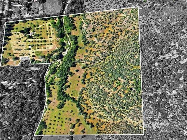 22550 Shady Grove Rd, Middletown, CA 95461