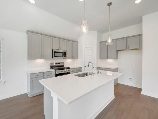22551 Pagoda Dogwood Branch Drive