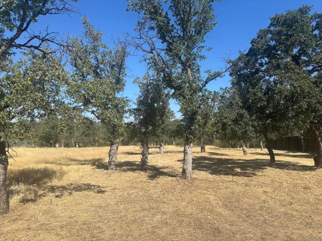 22554 River View Drive