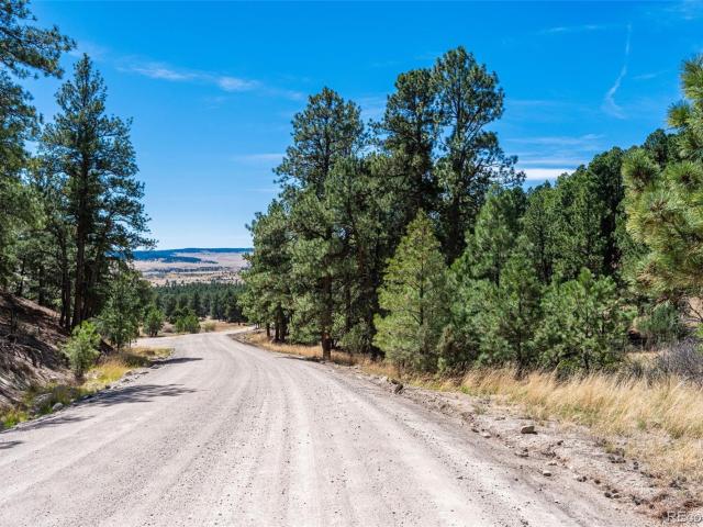 22555 County Road 49
