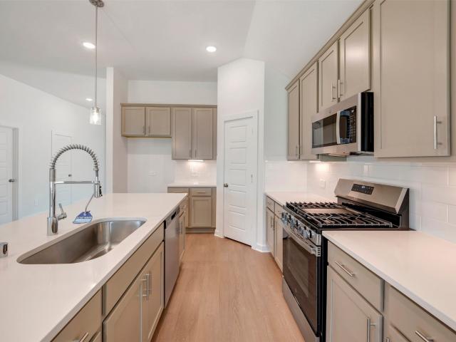22555 Pagoda Dogwood Branch Drive