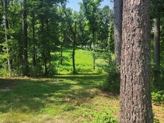 2255 Hubbard Rd, Loudon, TN 37774
