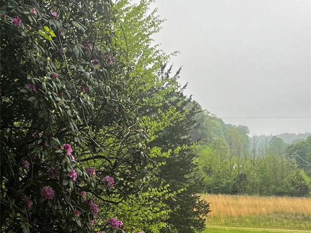 2255 Highway 268, Wilkesboro, NC 28697 | MLS #4280