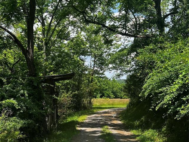 2255 Highway 268, Wilkesboro, NC 28697 | MLS #4280