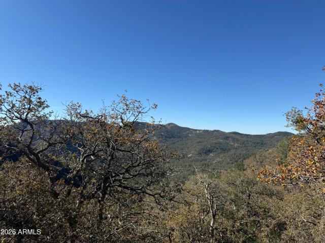 22560 s gladiator mine road #