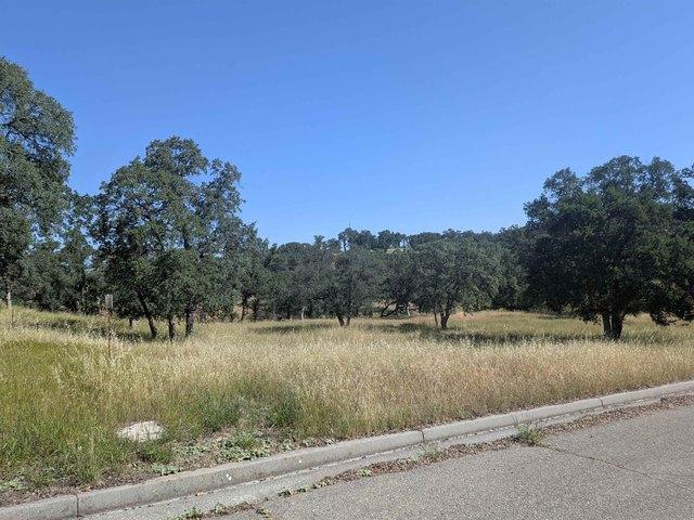22580 Rio Robles Dr, Red Bluff, CA 96080