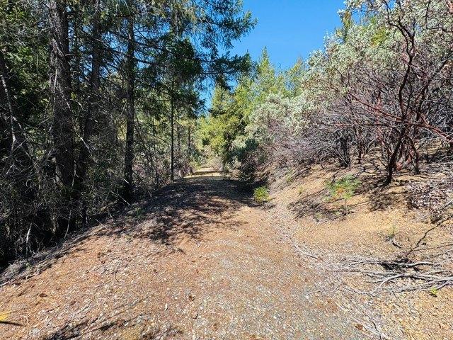 22588 Canyon Way, Colfax, CA 95713