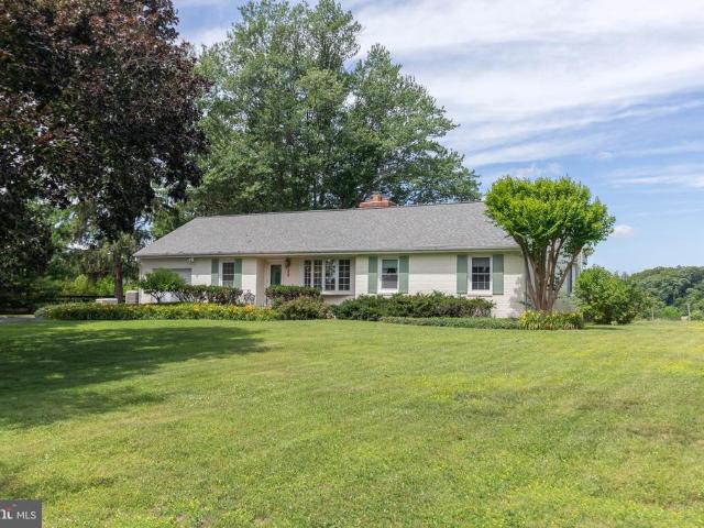 22520 Peach Tree Road