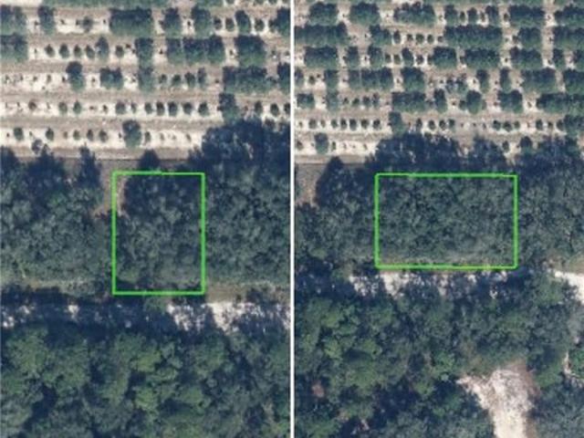 2252 and 2280 W Border Rd, Avon Park, FL 33825
