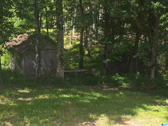 225 County Road 261 # 225