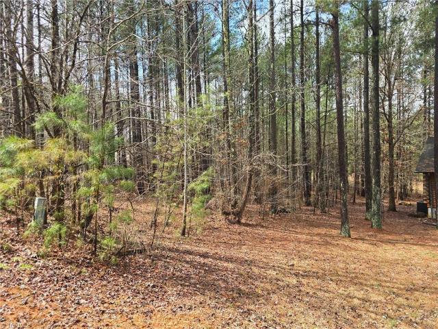 225 Cove Wood Drive