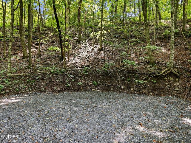 225 Coys Cove Lane
