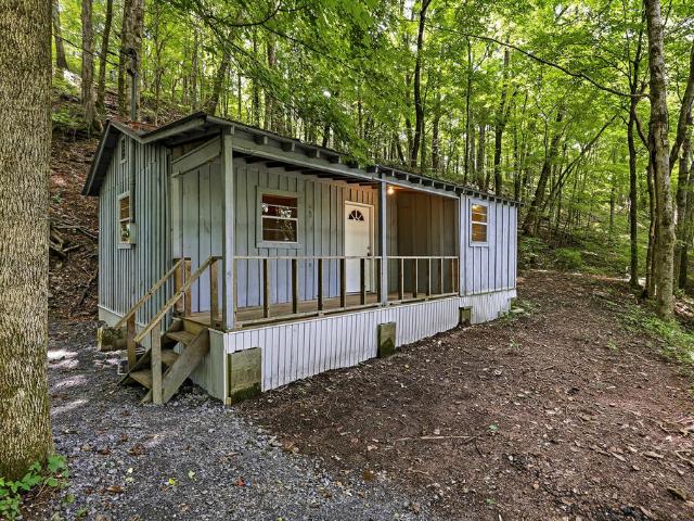 225 Coys Cove Ln