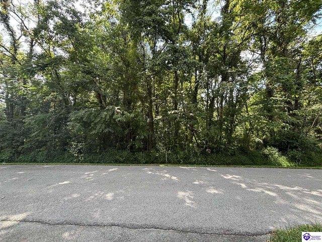 225 Barwater Rd, Brandenburg, KY 40108