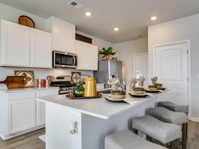 225 Beebalm Lane