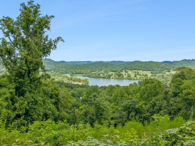 225 Grishom Ln