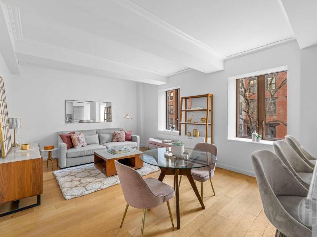 225 E 19th Street 203