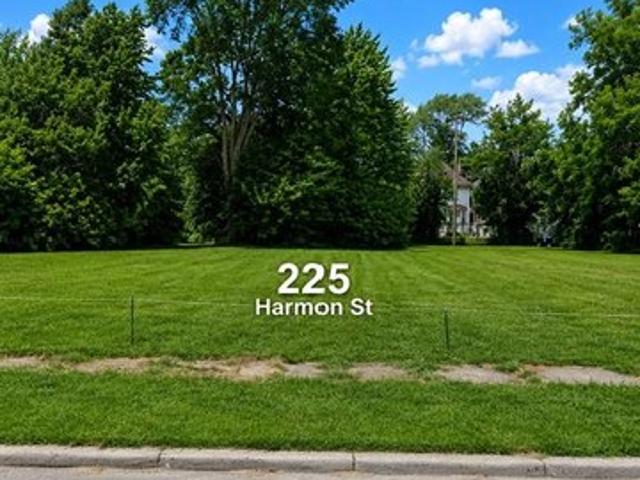 225 Harmon St, Detroit, MI 48202