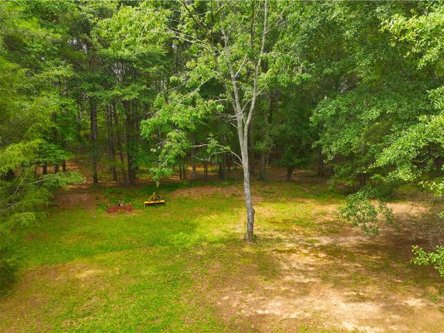225 Meadow Brook Lane