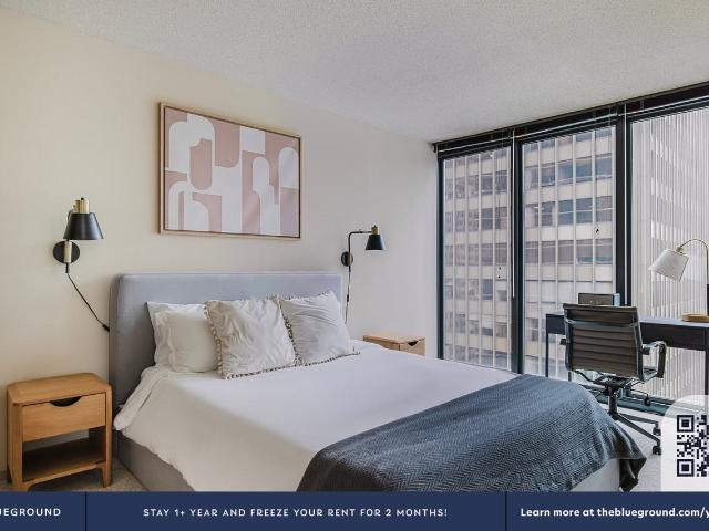 225 North Columbus Drive 1 Bedroom Apartment for Rent at 225 N Columbus Dr #1197, Chicago, IL 60601 Loop