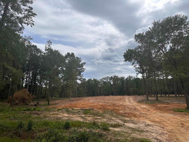 225 Stagecoach Trail