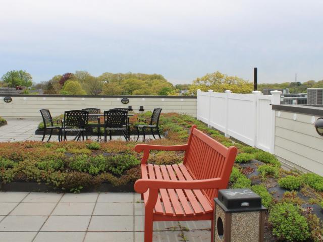 225 Stanley Avenue 109