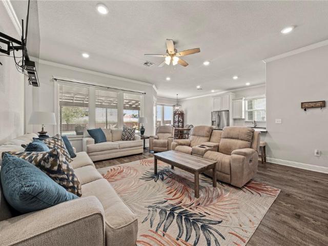 225 Swan Lake