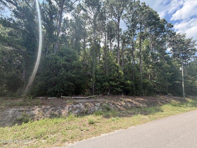 225 Pages Creek Dr Lot 24, Wilmington, NC 28411