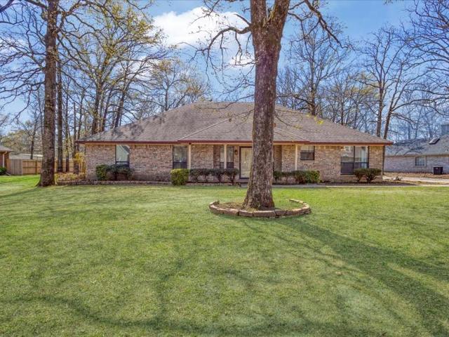 225 Red Oak Ln, Powderly, TX 75473 | MLS #21179