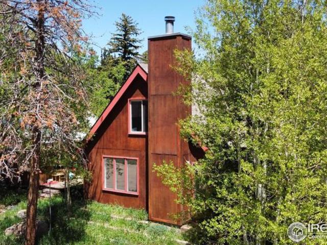 225 W Breed St, Nederland, CO 80466