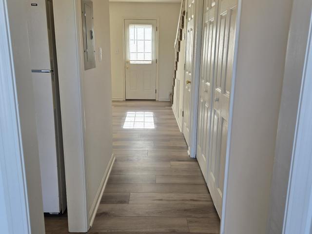 225 Tree Line Dr