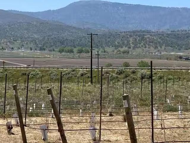 22649 Highway 202, Tehachapi, CA 93561 652265466