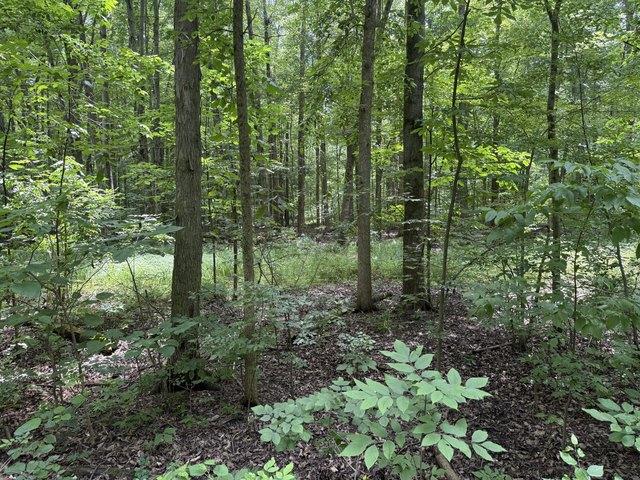 2264 D Dr S, East Leroy, MI 49051