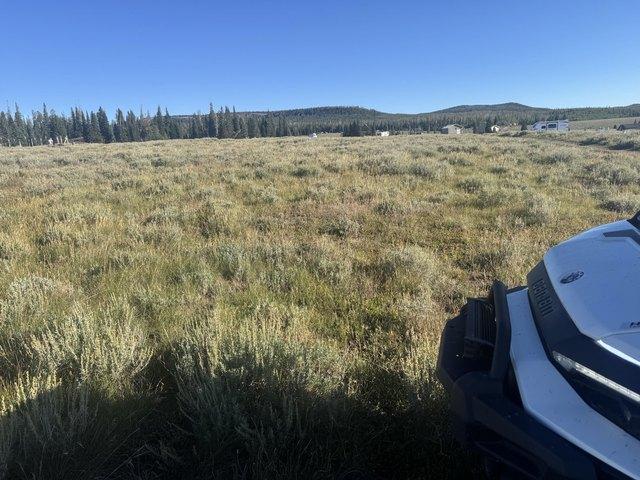 2265 E Deer Park Ln E Lake Ests Unit Meadow, Brian Head, UT 84719