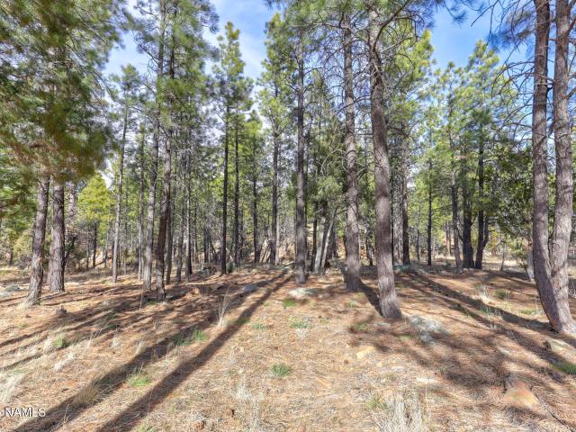 2267 Boulder Dr, Happy Jack, AZ 86024 | MLS #199648