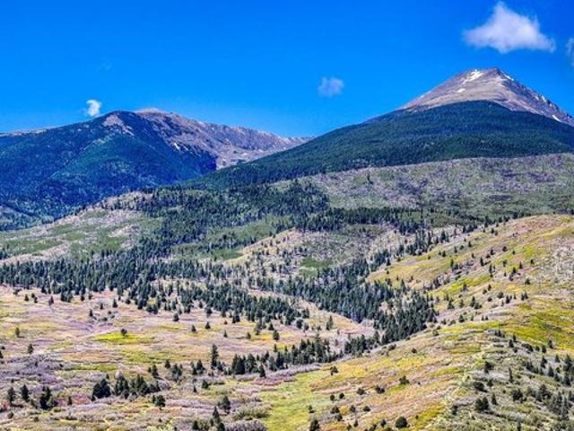 2269 Running Bear, Cotopaxi, CO 81223