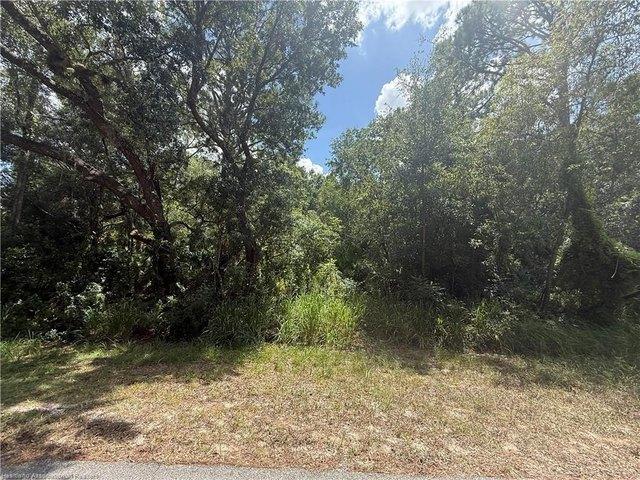 2269 W Longbottom Rd, Avon Park, FL 33825