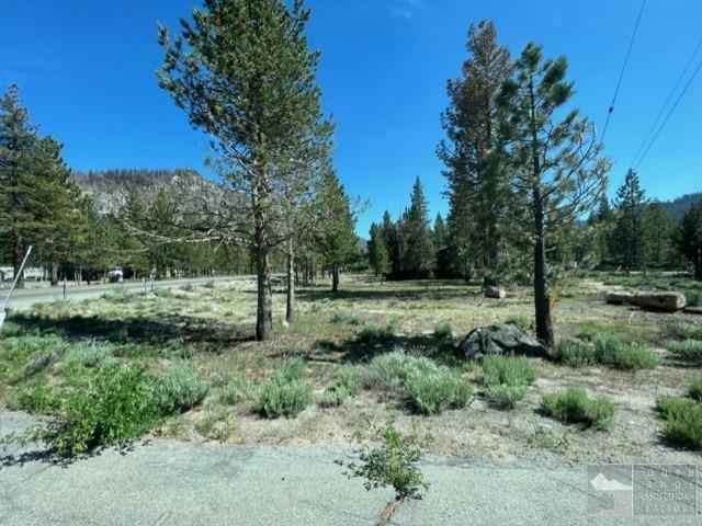 2263 Blitzen Rd, South Lake Tahoe, CA 96150 | MLS #141269