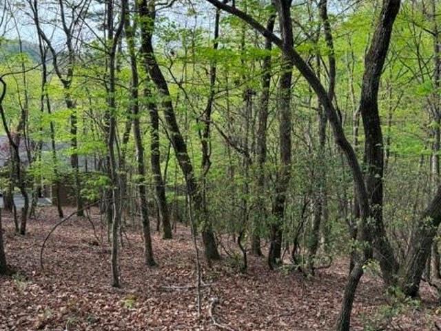 226 Crested Fern Lane